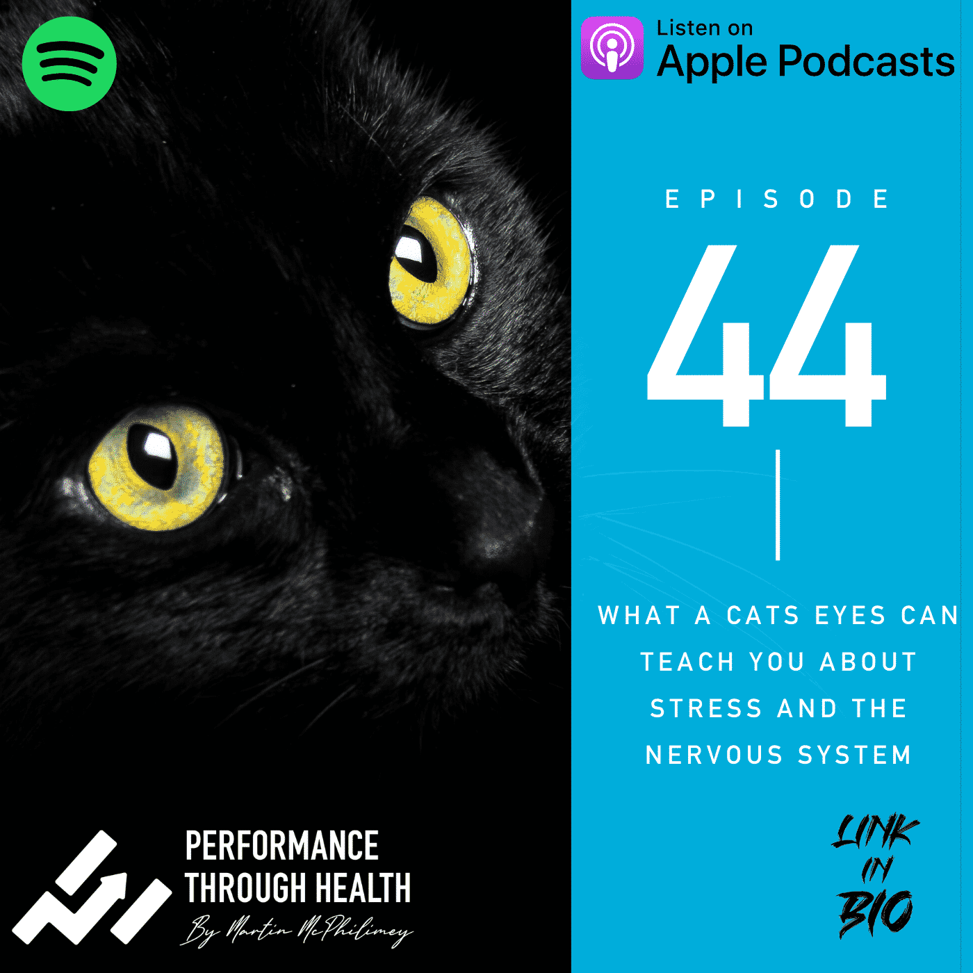 Episode 44 - What a Cat's Eyes Can Teach Us About Stress & The Nervous ...